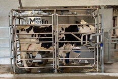 DeLaval and AMS Galaxy: What Are Some Differences Between Their Milking ...
