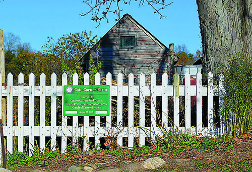 Farm Illustrates Challenges of Growing in Conn. | | lancasterfarming.com