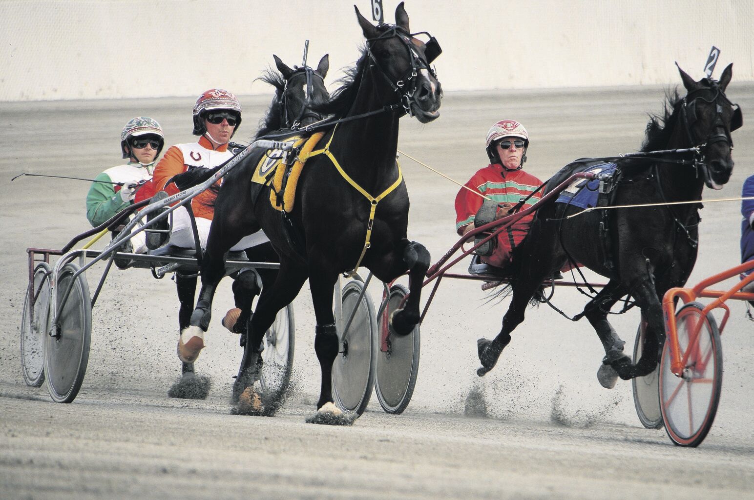 Thanks for the Memories: New Jersey’s Historic Freehold Raceway to ...