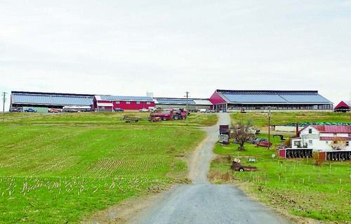 Windcrest Holsteins Goes Renewable With Solar Project | Farm Equipment ...