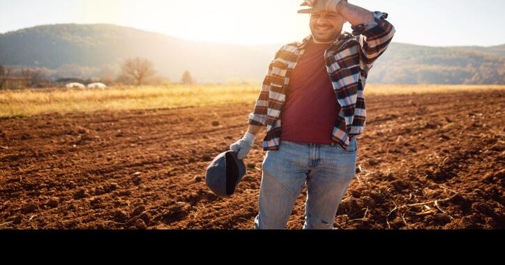 Summertime, and the Livin’ Is Not So Easy if You're a Farmer | Farm and ...