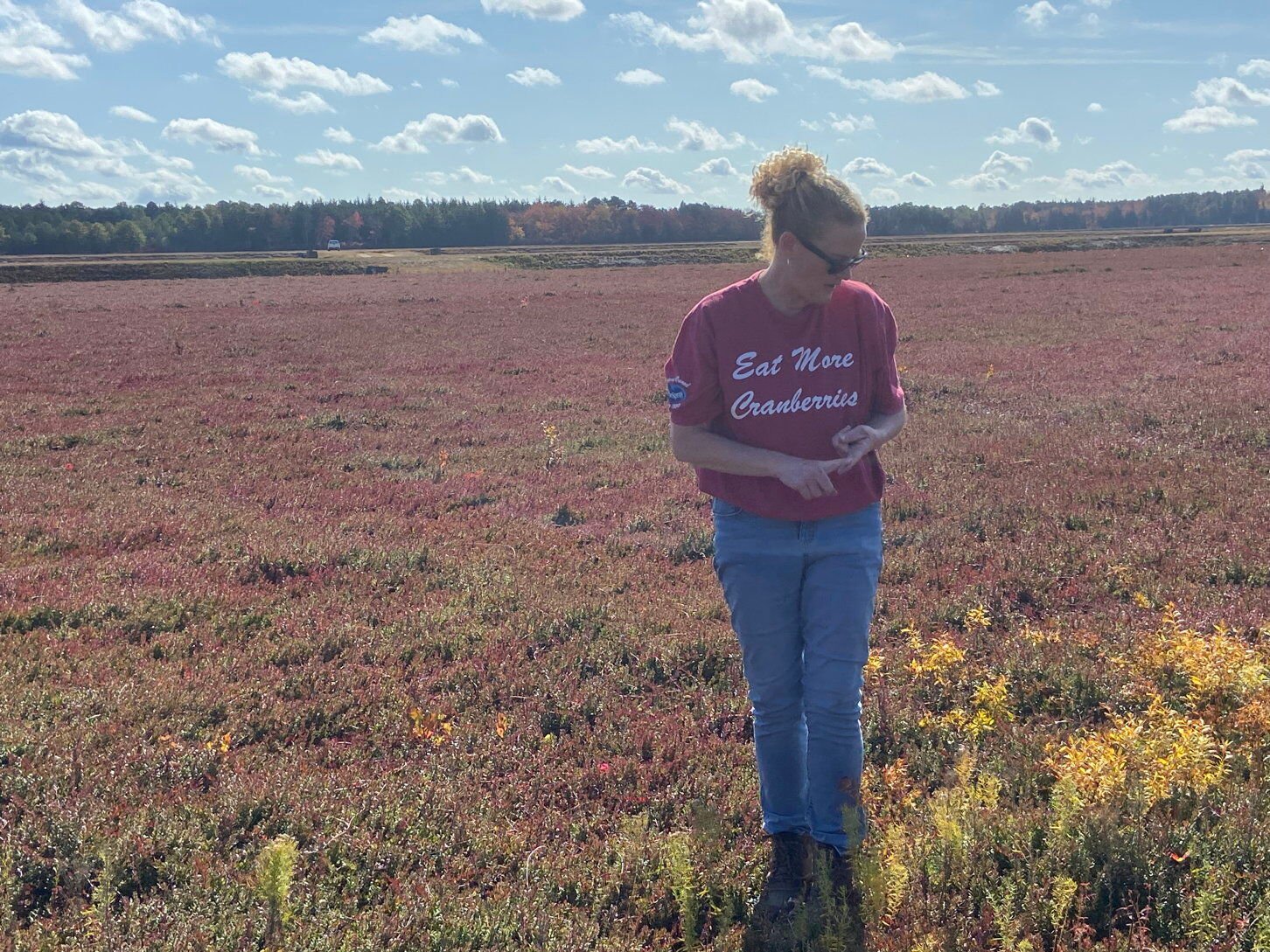 New Jersey Cranberry Farm Wades Through Harvest Season | Fruit and ...