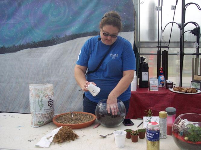 Terrariums Bring the Outdoors Inside for the Holidays and Make Great ...