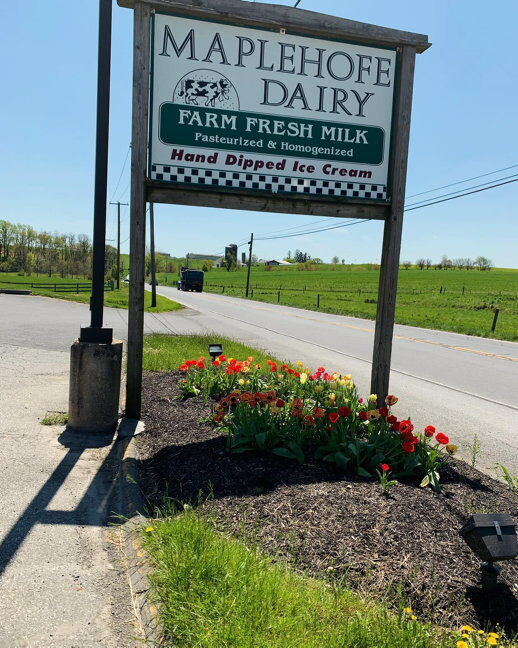 Maplehofe Dairy Marks 50 Years of Milk and More | Dairy News ...