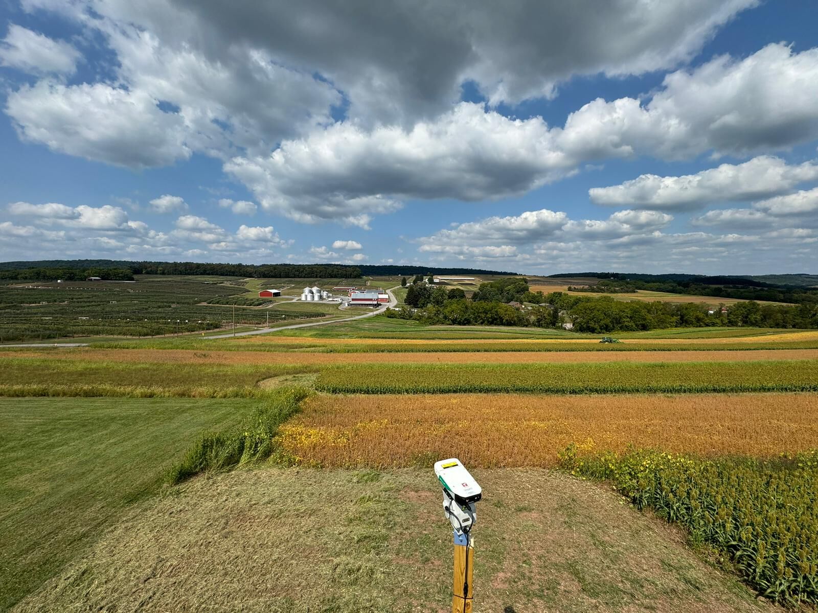 Laser Technology Reduces Wild Bird Problems on Farms | Farm Equipment ...