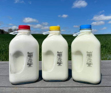 Maplehofe Dairy Marks 50 Years of Milk and More | Dairy News ...