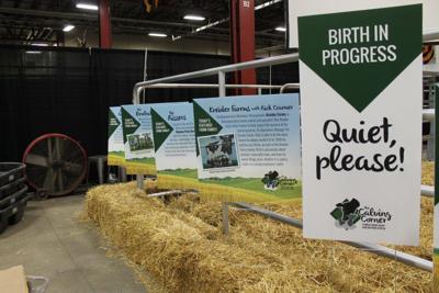 Volunteers Needed for Calving Corner Exhibit at Farm Show | Dairy News ...