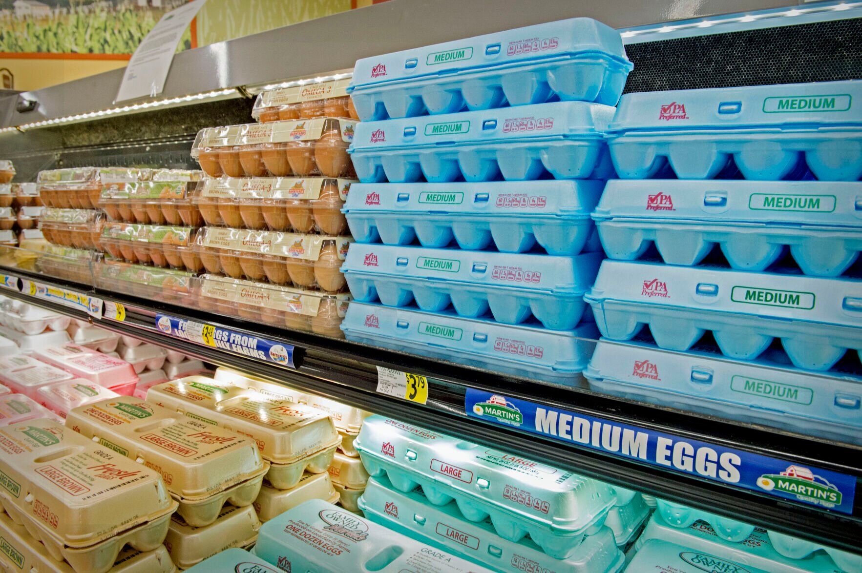 Free Range or Cage Free: The Real Meaning Behind Egg Carton Labels ...