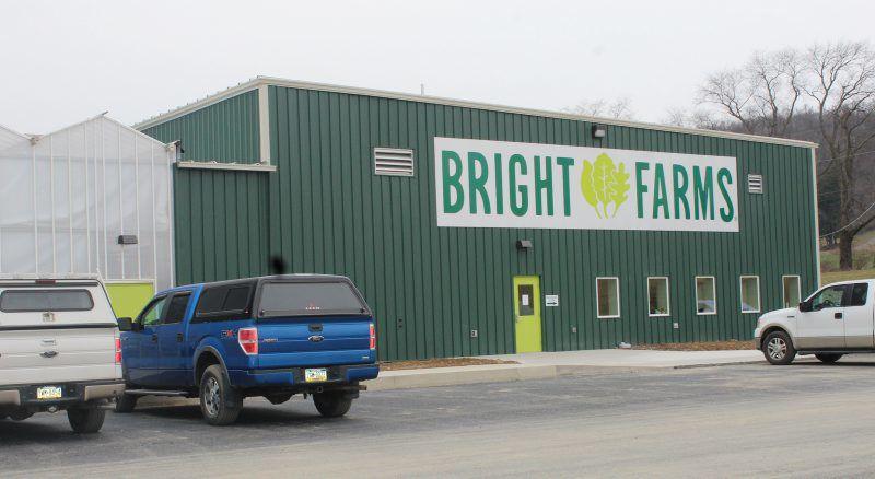 Bright Farms, Bright Greens Year-Round | Farming and Agricultural News ...