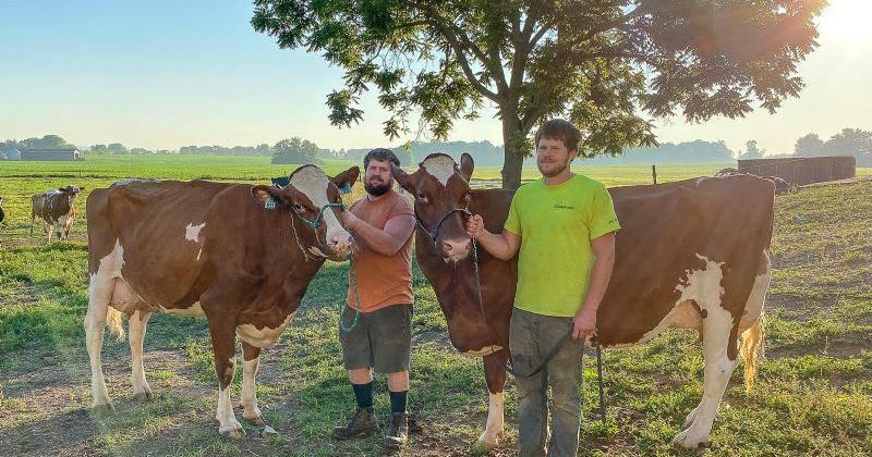 Red, White and Moo | Farming and Agricultural News | lancasterfarming.com