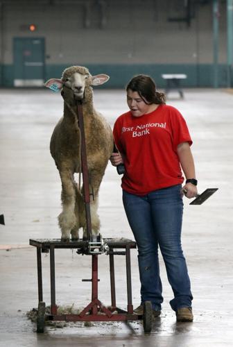 Scenes From the 2023 Keystone International Livestock Exposition ...