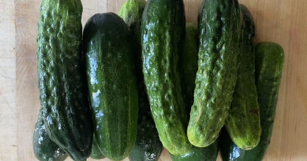 One Way to Make Pickles | Seasonal Food and Country Style Recipes ...