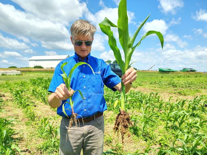 Tamp Down on Soil Compaction to Protect Your Crop Yield | Field Crop ...