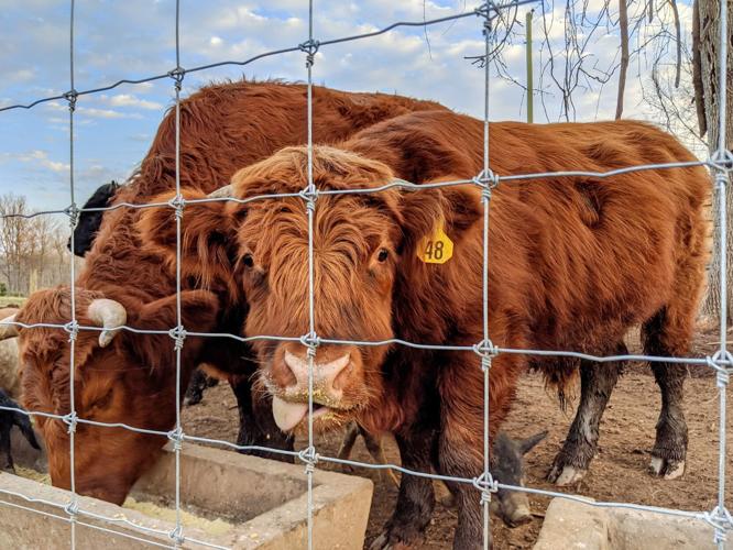 Keystone Fence Supply Company in Lebanon, Lancaster, Berks | Sponsored ...