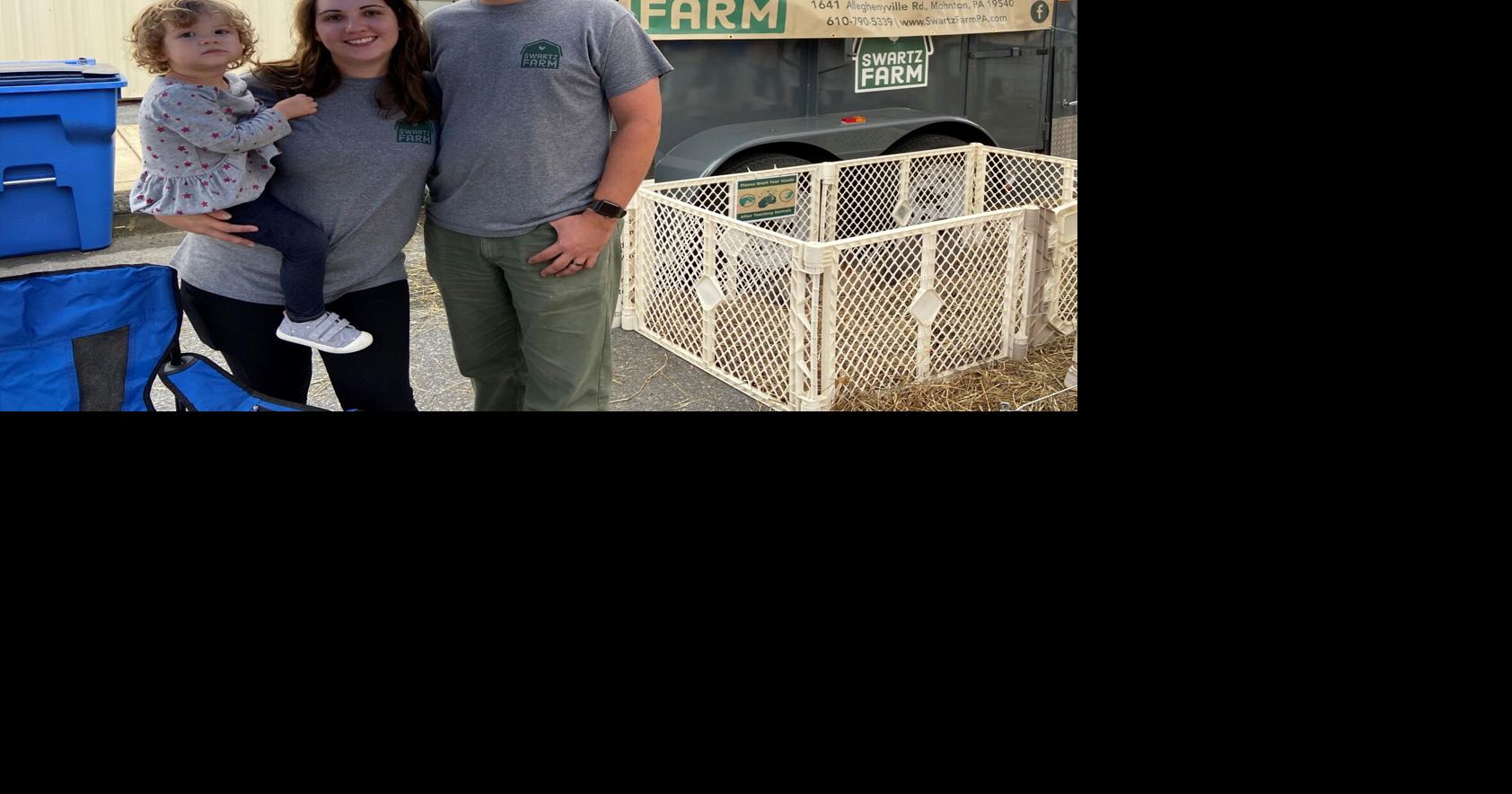 Pygmy Goats, Mini Highland Cows, Babydoll Sheep and More Power Swartz ...