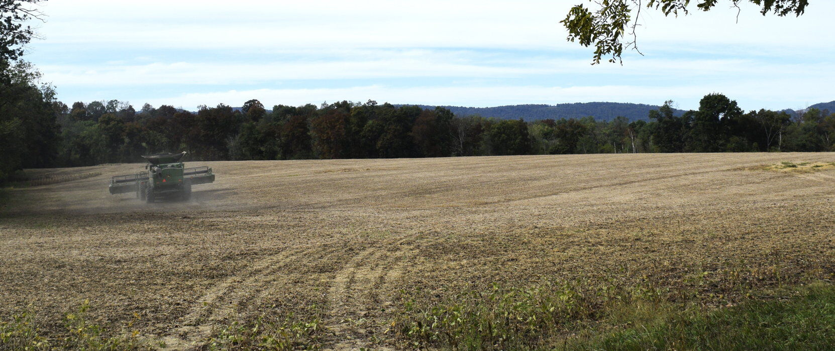 Third Year Is the Charm for Pennsylvania Soybean Yield Winner | Field ...