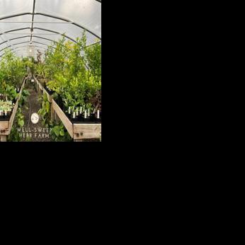 Well-Sweep Makeover_03.jpg | | lancasterfarming.com