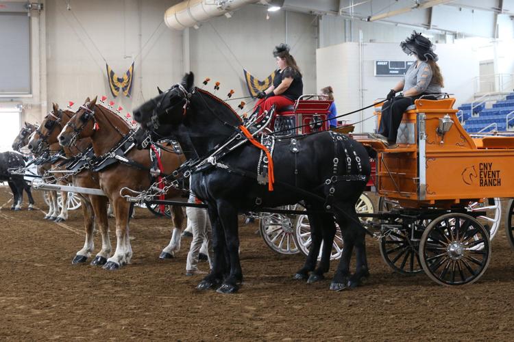 Scenes From the 2023 Keystone International Livestock Exposition ...