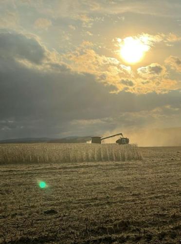 Eastern New York Farmer Snags Yield Prize | Farming and Agricultural ...