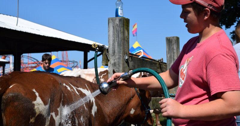 Pennsylvania County Fairs and Shows Guide 2022: Dates and Official ...