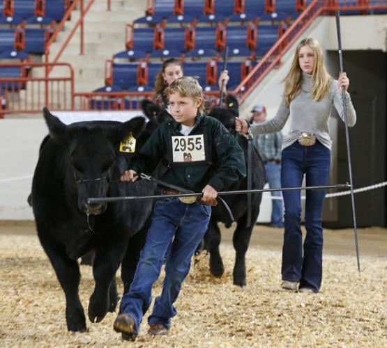 Scenes From the 2023 Keystone International Livestock Exposition ...