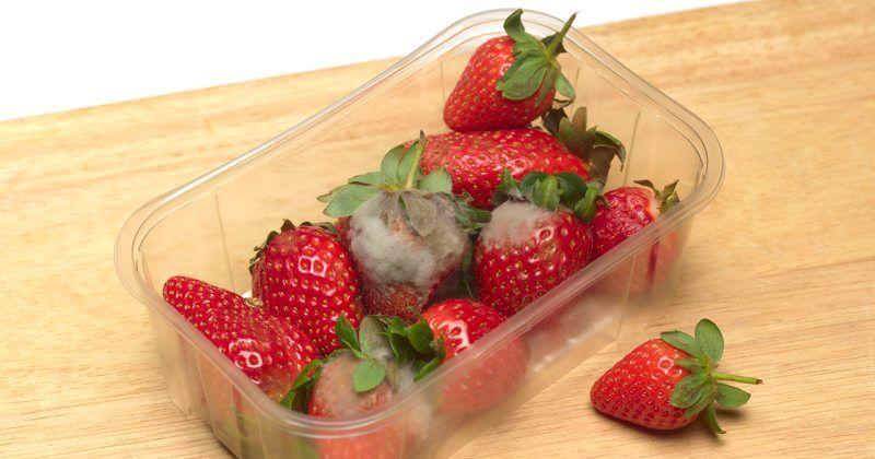 Water Activity in Food Preservation: Why Some Foods are Prone to ...