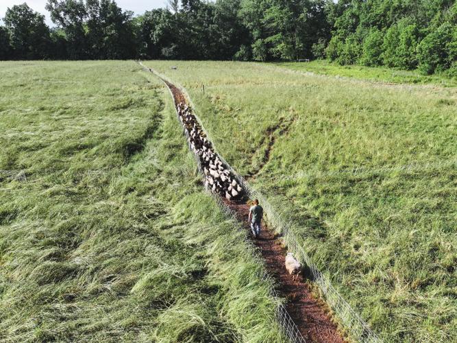 Chapel Ford Farm Vertically Integrates Over 5 Years | Agriculture ...