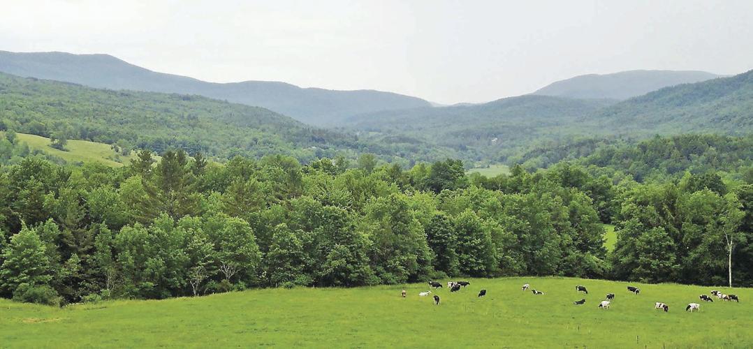 Vermont Farm Girl Has Olympic Dreams | | lancasterfarming.com