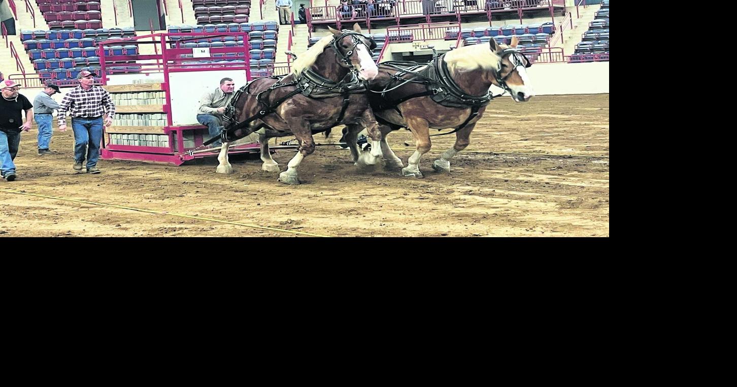 PA Farm Show Horse Pulling Contest is a Massive Display of Strength and ...