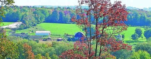 Widow Continues Simme Valley Farm’s Legacy | | lancasterfarming.com