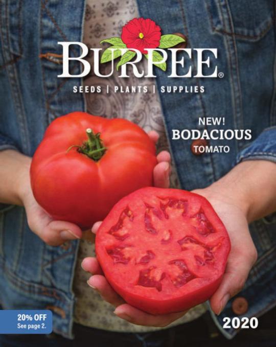 Famed Burpee Seeds’ History Spans Nearly 150 Years | Gardening Tips and ...