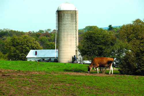 4 Maryland Farms Earn Dairy of Distinction Honors | Dairy News ...