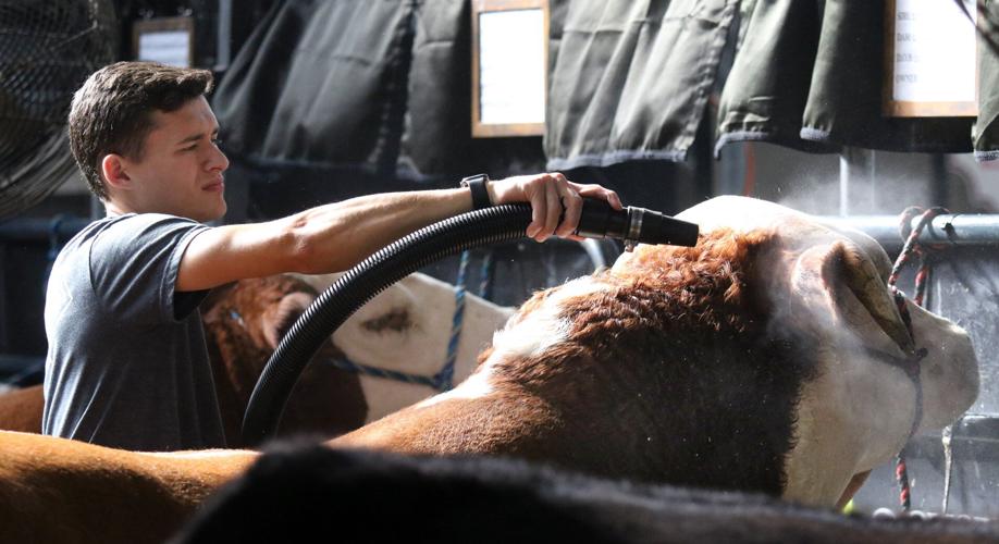 Scenes From the 2023 Keystone International Livestock Exposition ...