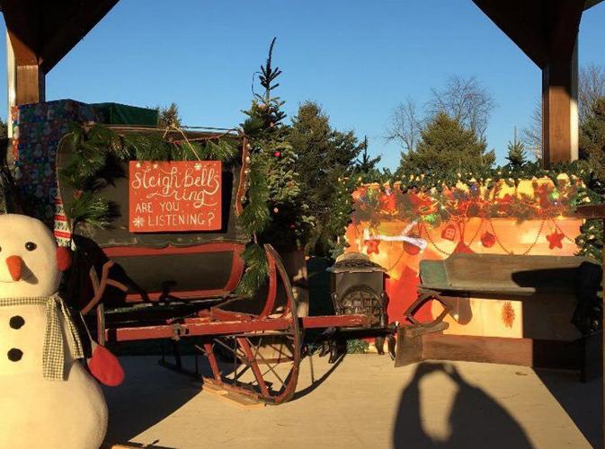 Learning the Hard Way at Restful Acres Christmas Tree Farm | Farm and ...