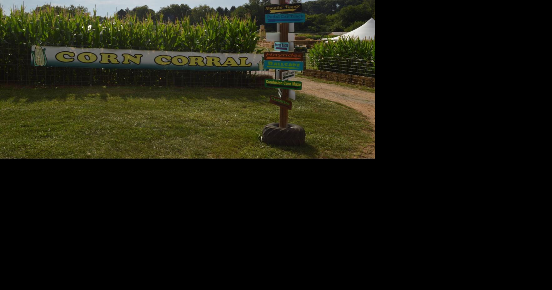 Christmas Tree Farmers Use Corn Maze to Attract Visitors to Their Farm ...