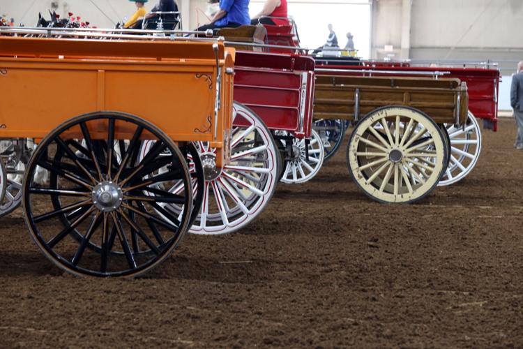 Scenes From the 2023 Keystone International Livestock Exposition ...