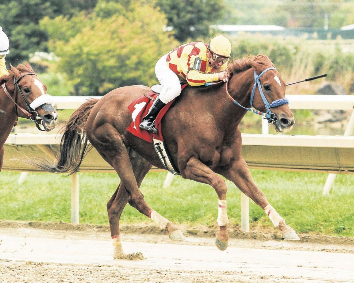 Can Jockey Tony Black Win Another Race at 72? | Horse News and Equine ...