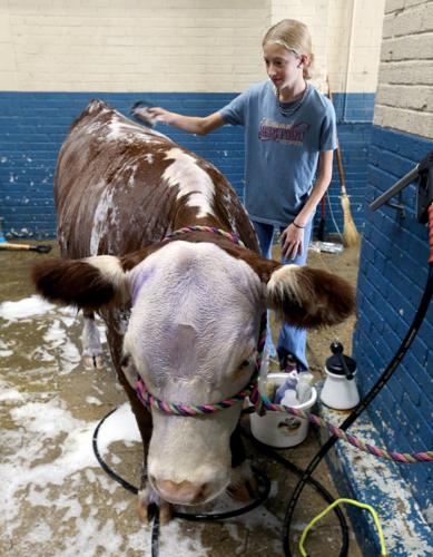 Scenes From the 2023 Keystone International Livestock Exposition ...