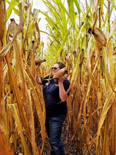 Nature Conservancy Field Day Probes 4R Economics | Farming and ...