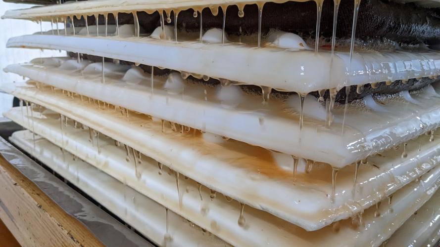 Innovation at New York Farm Makes Hard Cider More Mainstream | Farming ...
