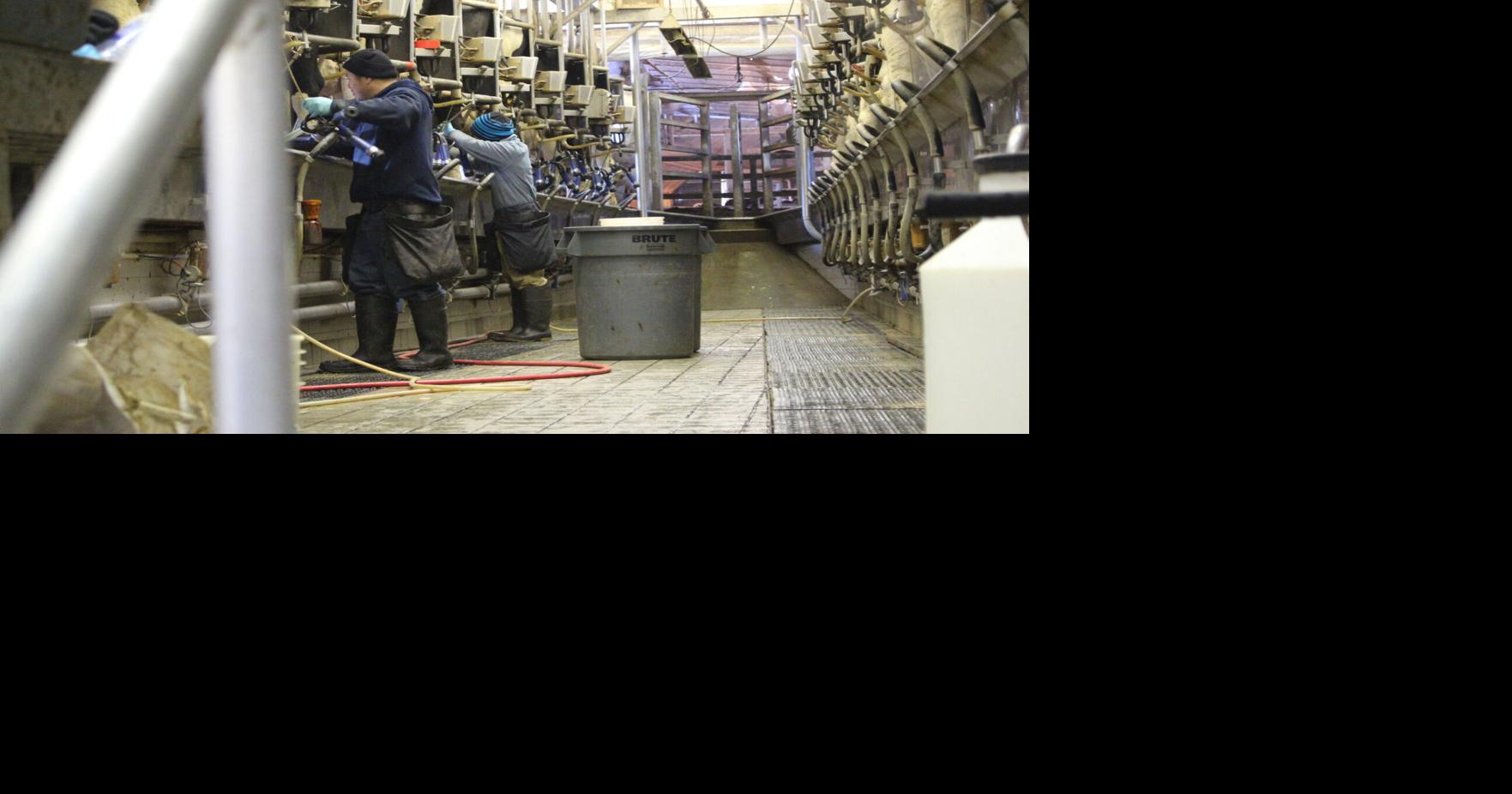Farms Can Be Dangerous: Focus on Workplace Safety | Farming and ...