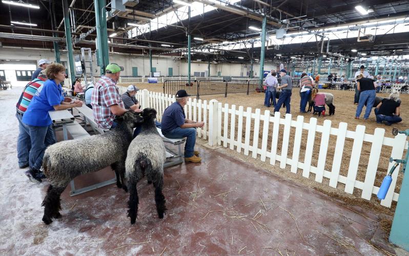 Scenes From the 2023 Keystone International Livestock Exposition ...