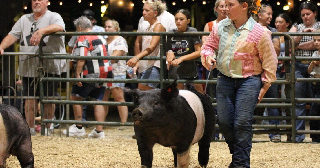 4-H Member Donates $27,000 From Pig Sale to Fund New Barn | Agriculture ...