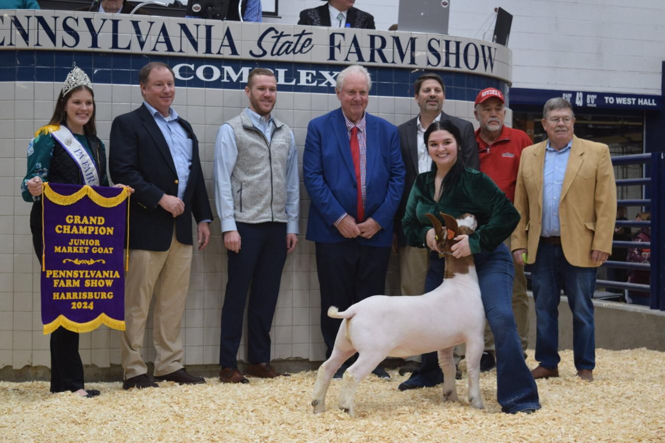 2024 PA Farm Show Sale of Champions Yields Money for College-Bound ...