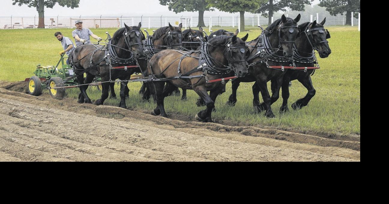 Hitch into 2024 Horse Progress Days in Lancaster County | Horse News ...