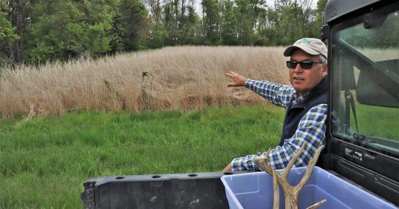 One Farmer’s Journey to Planting a Better Buffer | Farming and ...