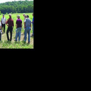 Yields Improve When Farming Mimics Nature | Farming and Agricultural ...