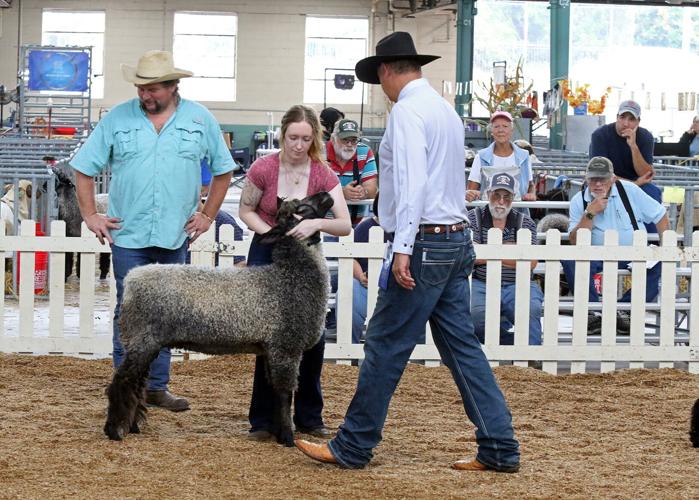 Scenes From the 2023 Keystone International Livestock Exposition ...