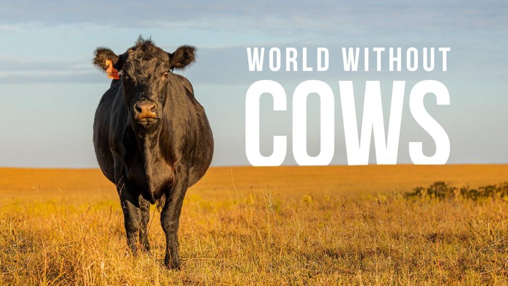Documentary 'World Without Cows' Gives Livestock a Fair Shake on Climate | Livestock News ...