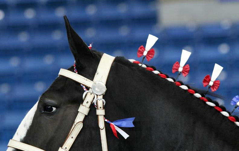 Scenes From the 2023 Keystone International Livestock Exposition ...
